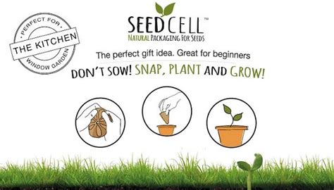 Growtrade Irelands Online Source For Latest News And Insight For The