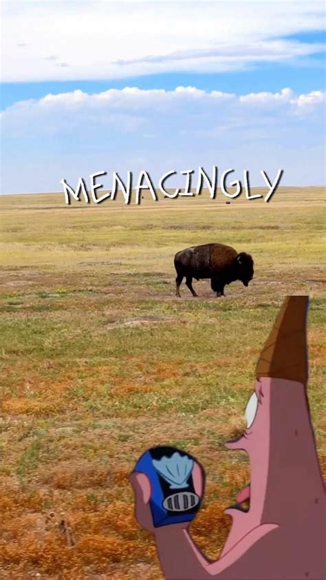 Hes Just Standing There Menacingly Spongebobmemes Spongebob Buffalo