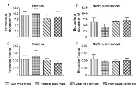 The Effect Of Comt Gene Disruption On Extracellular Dopamine And The