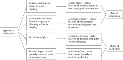 A Cross Linguistic Model Of The Acquisition Of Prosodic Focus Marking Download Scientific Diagram