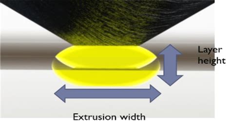 Extrusion Width And Layer Height Are Measured On A Drop Of Melted Download Scientific Diagram
