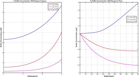 Buffer Dynamics For Various Total Buffer Concentration Values
