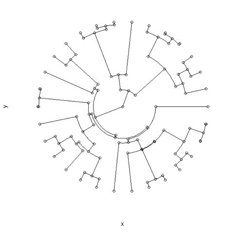 Phylogenetic Tools For Comparative Biology Plotting The Structure Of A Circular Fan Tree