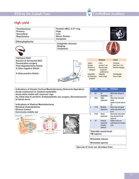 Btr Unannotated Workbook Cerebellum Academy