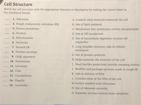[solved] cell structure match the cell structure with the appropriate