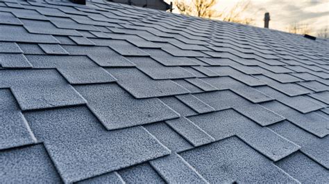 Safeguard Your Home Exploring Impact Resistant Roofing