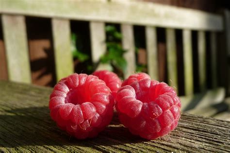 How To Grow Raspberries The Garden Of Eaden
