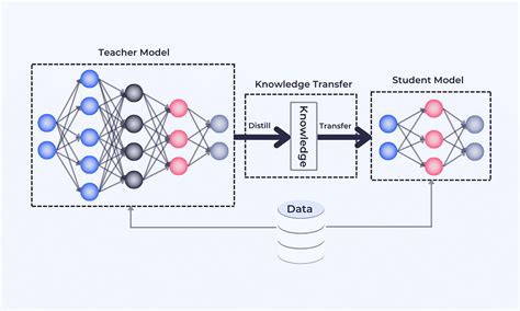 The Power Of Model Compression Guide To Pruning Quantization And Distillation In Machine
