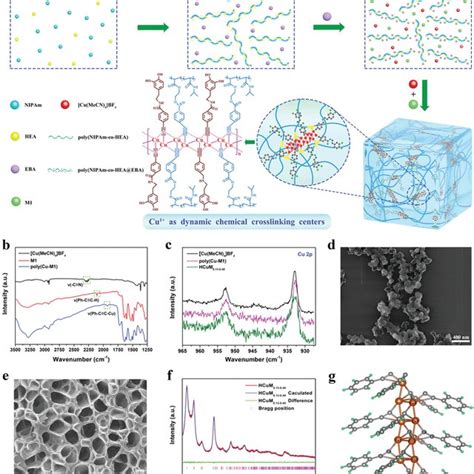 Fabrication And Characterization Of Poly Cu‐nipam Hydrogels A The Download Scientific