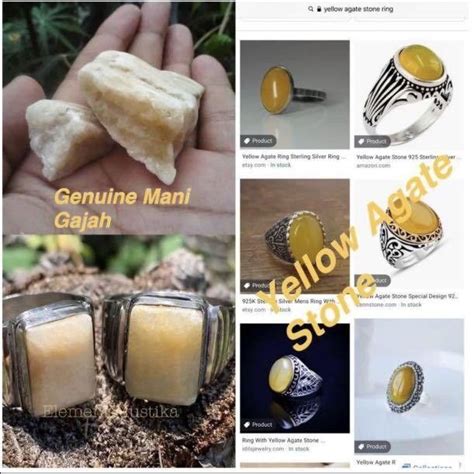 SEXUAL ATTRACTION Mani Gajah Attraction Magnetism Known For Sexual Attraction Charismatic