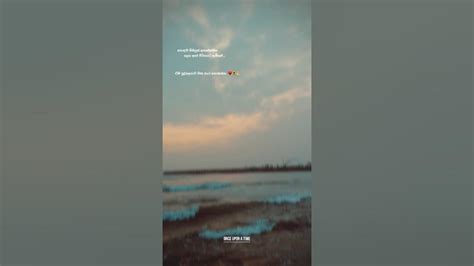 කටු මතින් යන ජිවිතේ මල් වලින් සරසමු 🥺♥️ Shorts Love Status Youtube