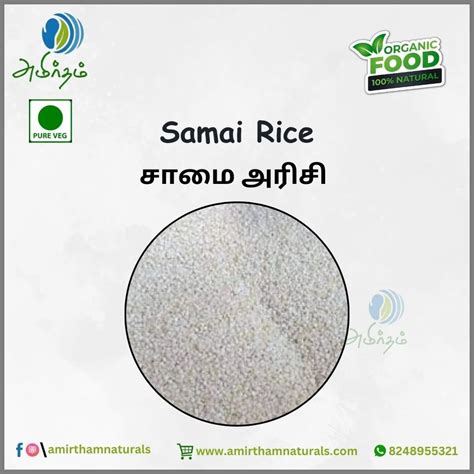 Samai 1 Kg At Rs 150piece Tirunelveli Id 2855114843862