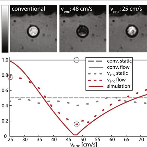 phantom validation in 1 h gel phantom around water pipe with mean flow