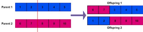 Genetic Algorithms Order One Crossover Baeldung On Computer Science