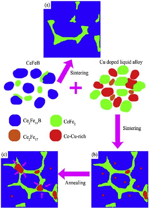 Schematic Illustration Of The Microstructure Evolutions And The Changes Download Scientific