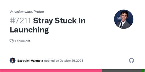 stray stuck in launching · issue 7211 · valvesoftware proton · github