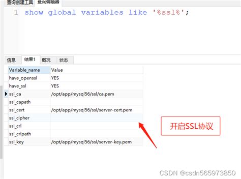 mysql开启ssl加密协议及java客户端配置操作指南 show global variables like ssl csdn博客