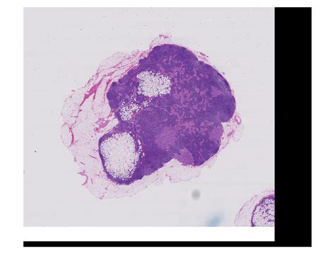 Readall Read All Data From Blocked Image Datastore Matlab