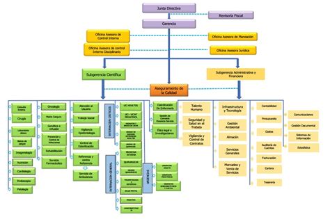 Ejemplo De Organigrama De Un Hospital