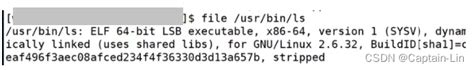 【linux初阶】环境变量 如何设置、获取环境变量？ 查看环境变量 csdn博客