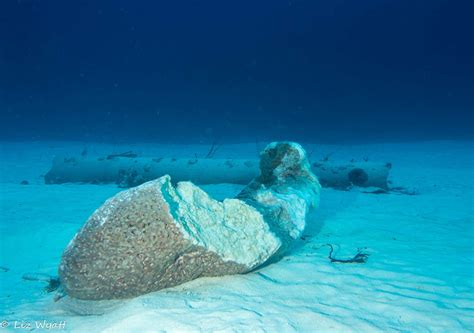 Sea Sponge 2 Cayman Compass