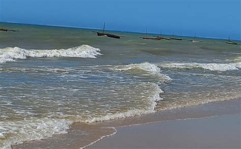 High Levels Of Turbidity And Poor Visibility Conditions Were Prevalent Download Scientific