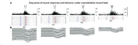 Example Of Dorsal Striatal Cell Recorded Under Unpredicted Reward