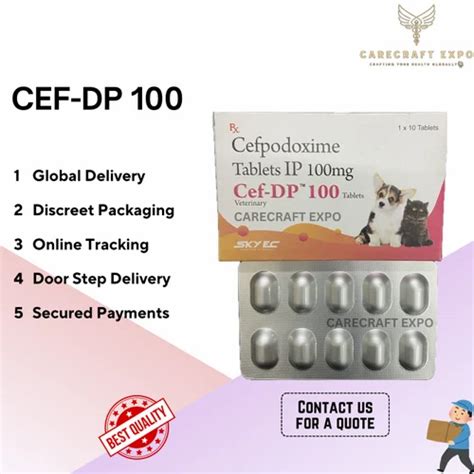 Cef Dp 100 Mg Tablets At ₹ 200 Strip Jaripatka Nagpur Id