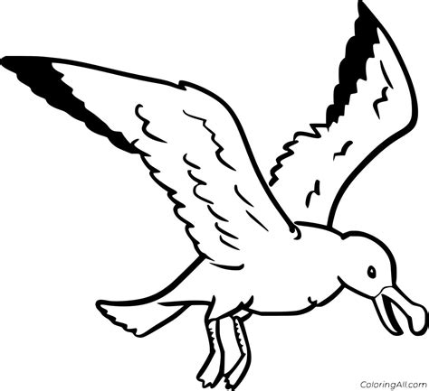 Simple Flying Seagull Coloring Pages Coloring Cool