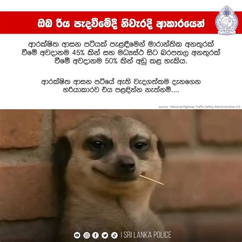 Sri ඔබ රිය පැදවීමේදී නිවැරදි ආකාරයෙන් ආරක්ෂිත ආසන පටියක් පැළදීමෙන් මාරාන්තික අනතුරු අවදානම