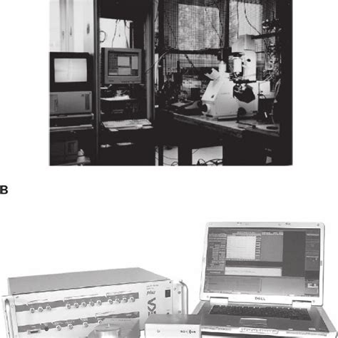 1 Comparison Of The Different Patch Clamp Configurations Between