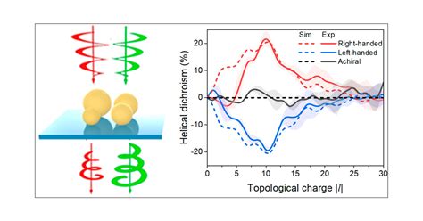 Photonic Orbital Angular Momentum Dichroism On Three Dimensional Chiral Oligomers Acs Photonics