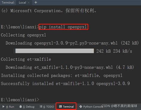Python操作excel之openpyxlpython Openpyxl Sheet Csdn博客