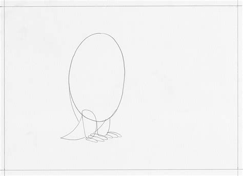 Learn How To Draw A Realistic Penguin Step By Step