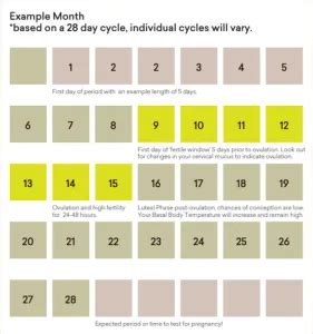 What Is Ovulation Tracking Fertility Journal