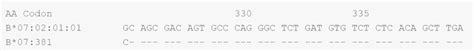 alignment of the sequence of exon 7 of b 07 381 with the sequence of