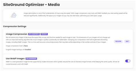 Siteground Optimizer Vs Wp Rocket Which One Or Both