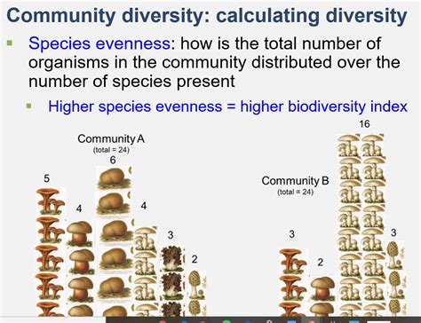 Answered Community Diversity Calculating Diversity • Species Evenness How Is The Total Number Answered Community Diversity Calculating Diversity • Species Evenness How Is The Total Number