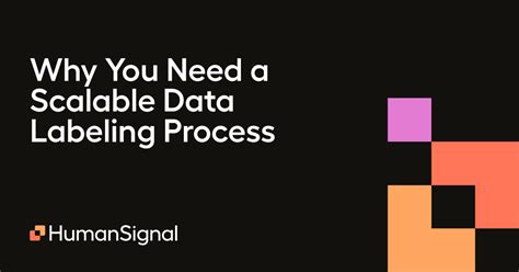 Why You Need A Scalable Data Labeling Process Humansignal