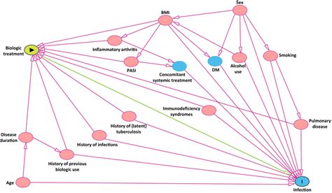 Directed Acyclic Graph Dag For Biologic Exposure And The Association