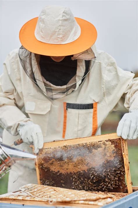 Apiarista De Traje Quitando Marco De La Colmena De Abejas En Una Granja De Colmenas Foto de ...