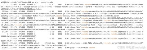 【vscode 解决方案】vscode 无法登录远程服务器的两种解决办法 vscode无法登录 csdn博客