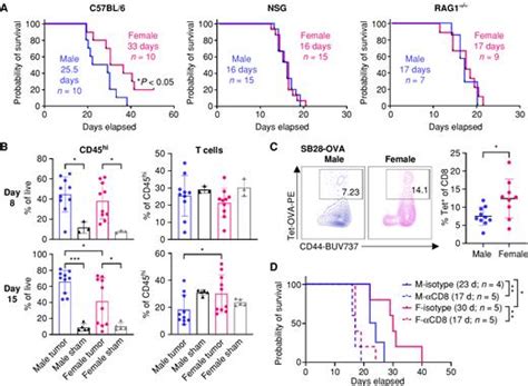 Sex Biased T Cell Exhaustion Drives Differential Immune Responses In