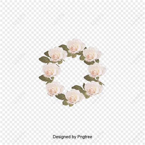 흰 장미 프레임 Png 일러스트 및 벡터 이미지 무료 다운로드 Lovepik