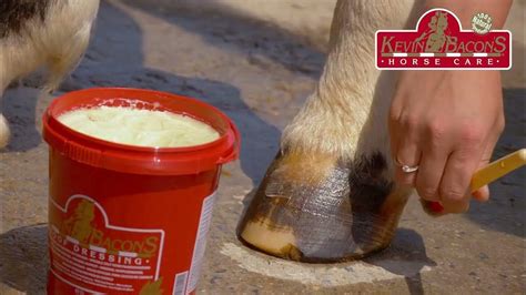 Мазь для сухих и чувствительных копыт лошадей Hoof Dressing - YouTube