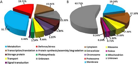 Functional Classifications A And Sub Cellular Localization B Of 421