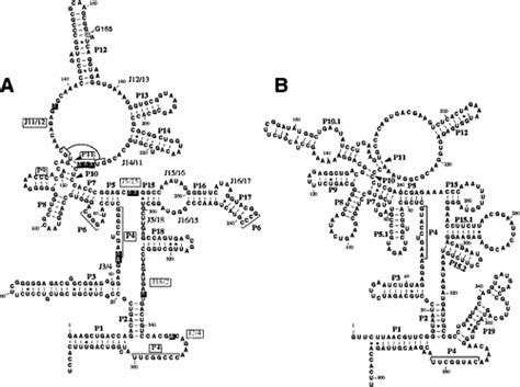Biochemistry Vol 38 No 6