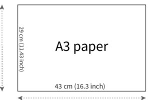 A Paper Size Inches Hot Sex Picture