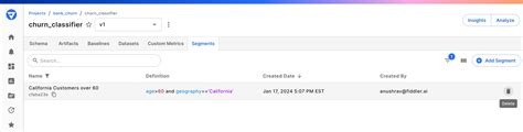 Model Segments Analyze Cohorts For Performance Insights And Bias Detection Fiddler Ai