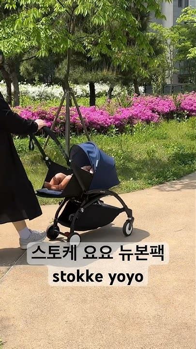 스토케 요요2 뉴본팩 휴대용유모차 실사용 후기 스토케 스토케요요뉴본팩 휴대용유모차 신생아유모차 Youtube